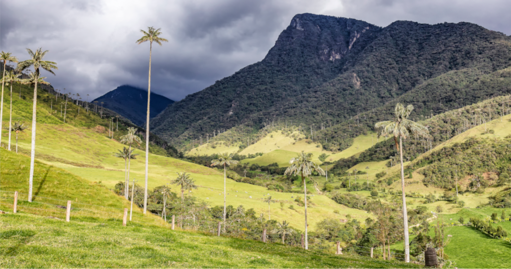 Colombie : Top 5 des plus beaux paysages | Tierra Latina