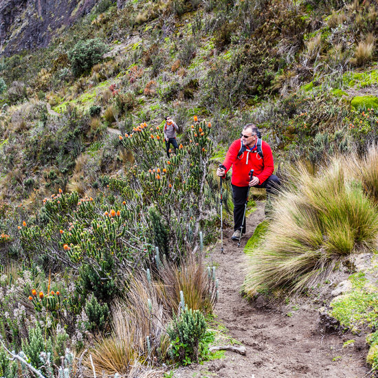 Séjour Equateur : des Andes à la Jungle - Tierra Latina
